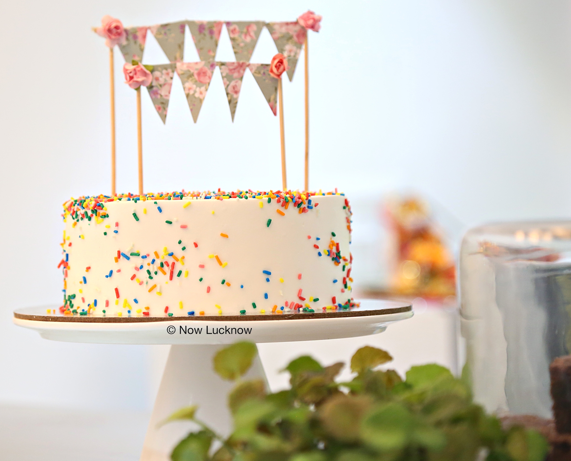 MACARON’S NEW TAKE-AWAY OUTLET LOOKS AS PRETTY AS ITS CAKES – Now Lucknow