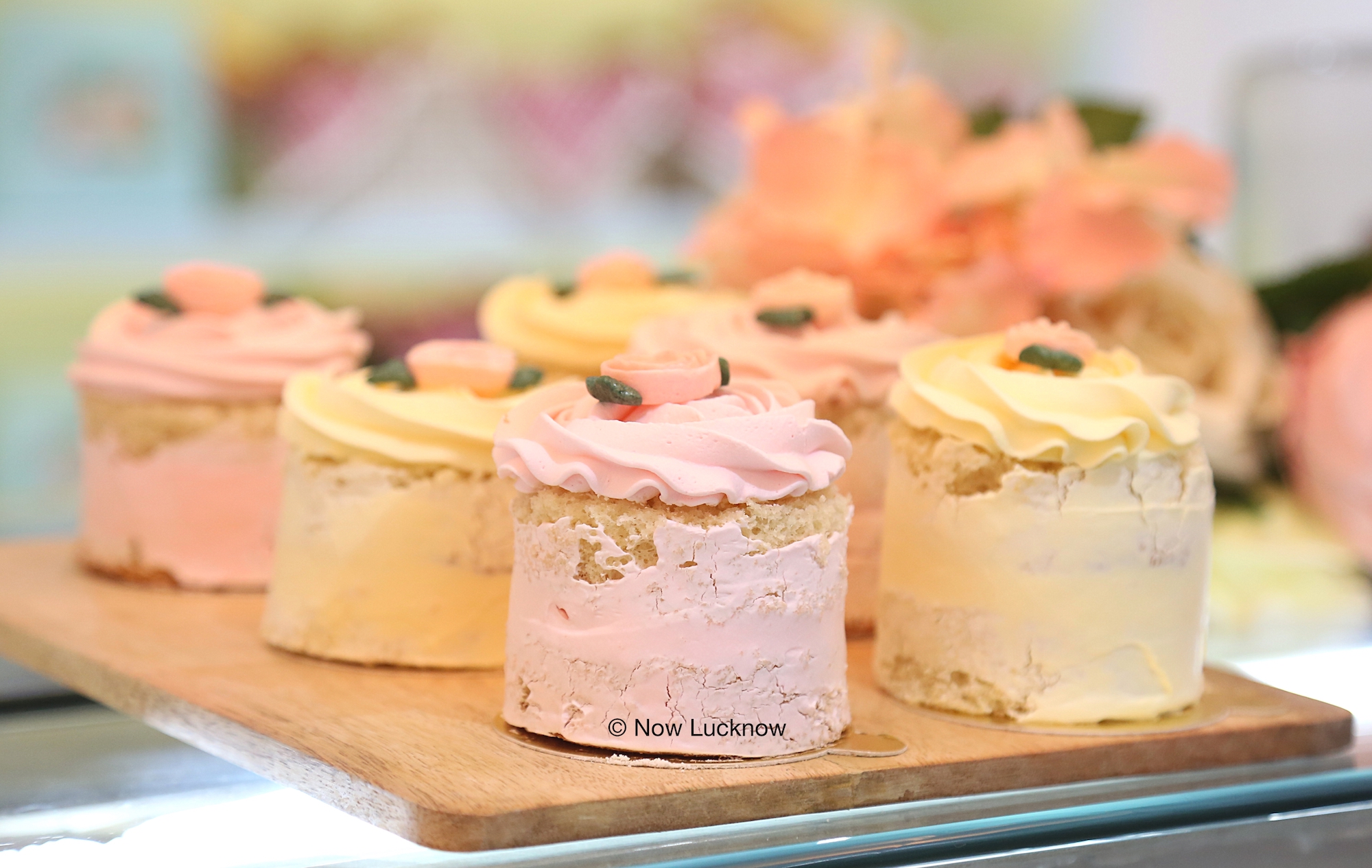 MACARON’S NEW TAKE-AWAY OUTLET LOOKS AS PRETTY AS ITS CAKES – Now Lucknow