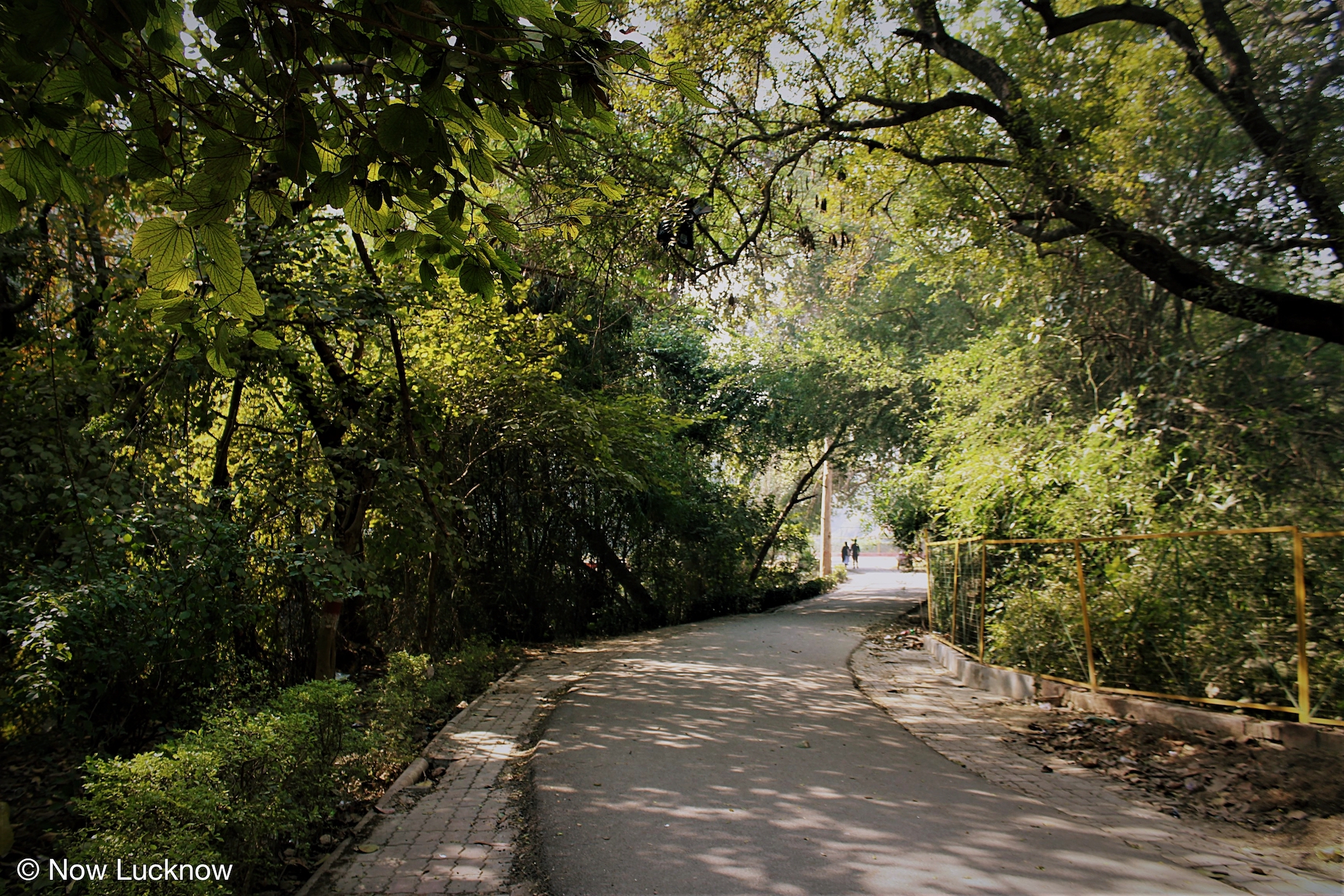 WHY YOU NEED TO VISIT THE KUKRAIL RESERVE FOREST – Now Lucknow